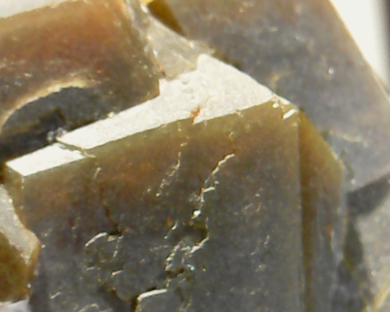 Andradita :: Minerales